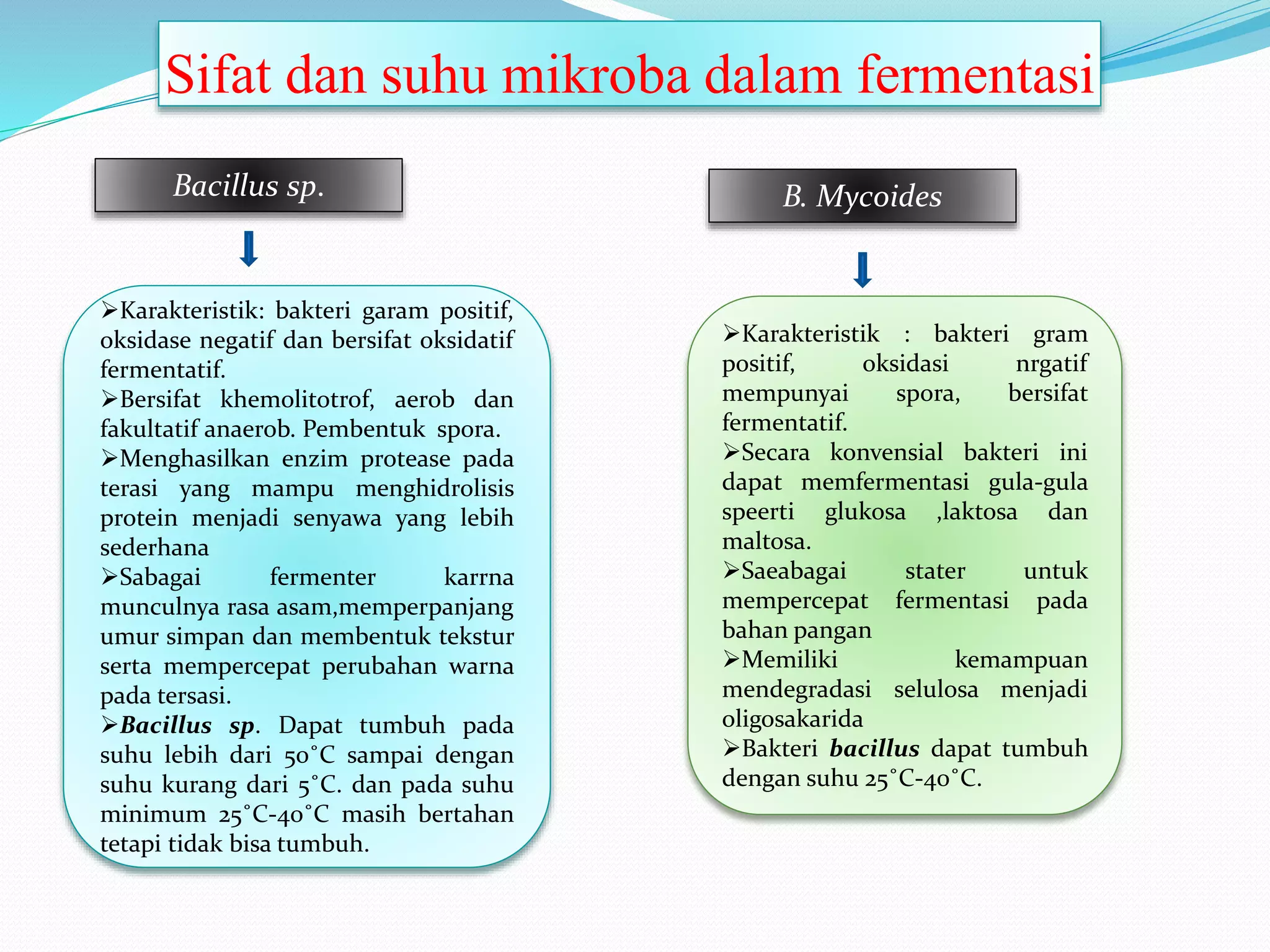 Teknologi Fermentasi Terasi (Dani Meriyani, Sari Bella, Lisrawati) | PPTX
