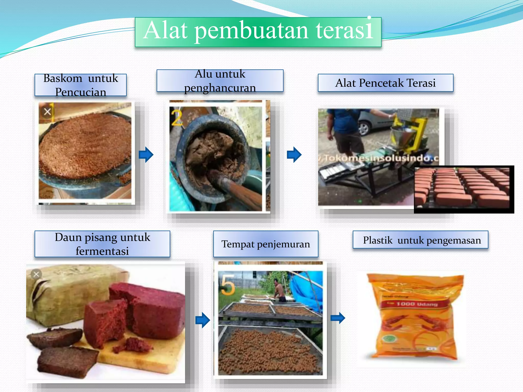 Teknologi Fermentasi Terasi (Dani Meriyani, Sari Bella, Lisrawati) | PPTX