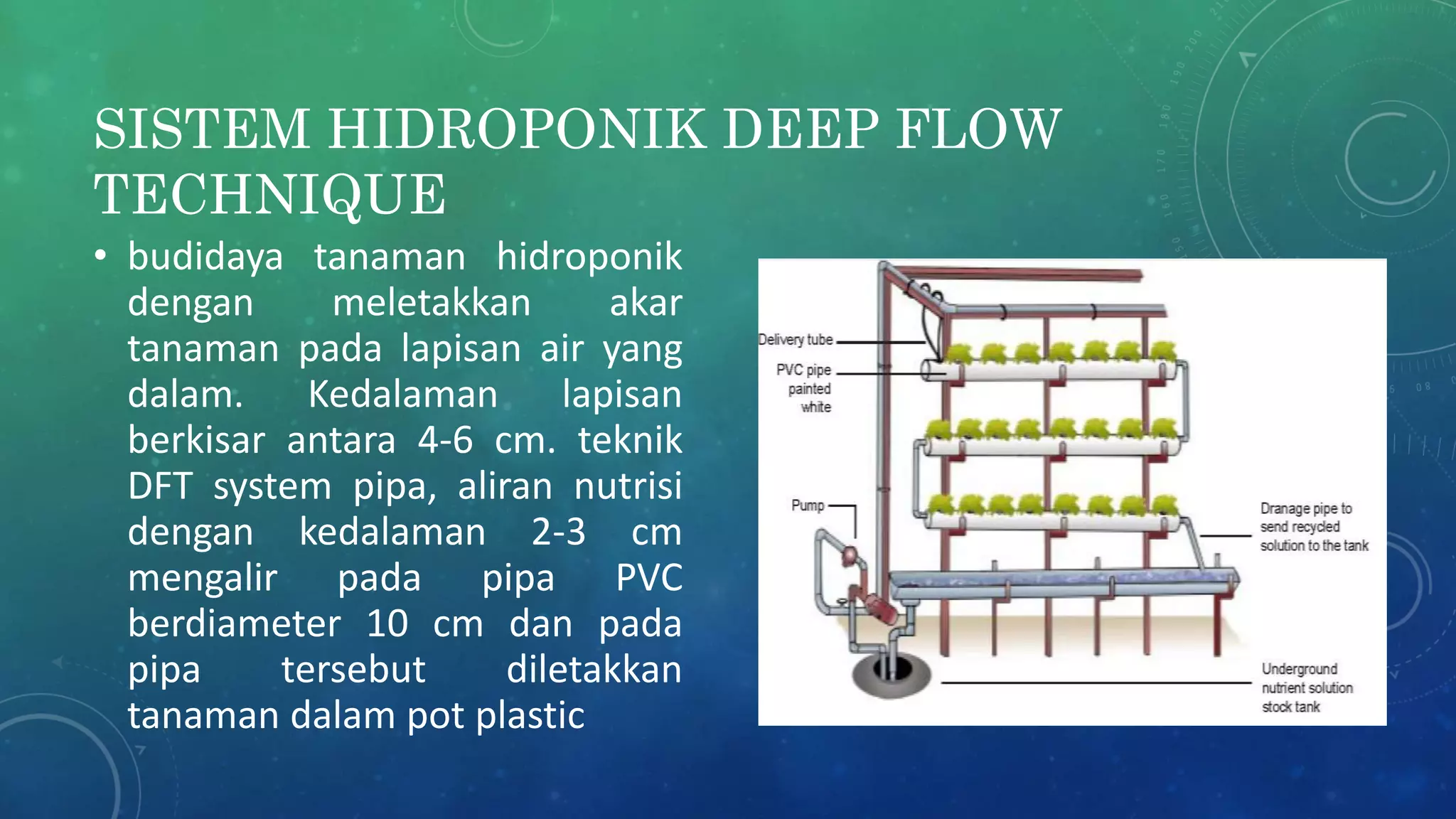 Teknologi hidroponik sawi menggunakan DFT | PPTX