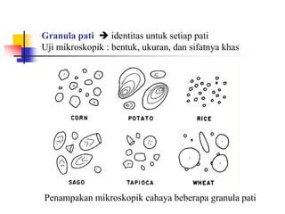 Teknologi Pati. (Pengembangan Proses & Produk berbasis Pati).pdf