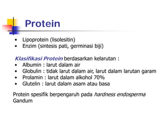 Teknologi Pati. (Pengembangan Proses & Produk berbasis Pati).pdf
