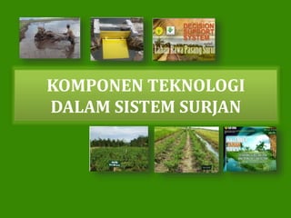 Teknologi pengembangan sistem surjan | PPTX