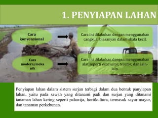 Teknologi pengembangan sistem surjan | PPTX