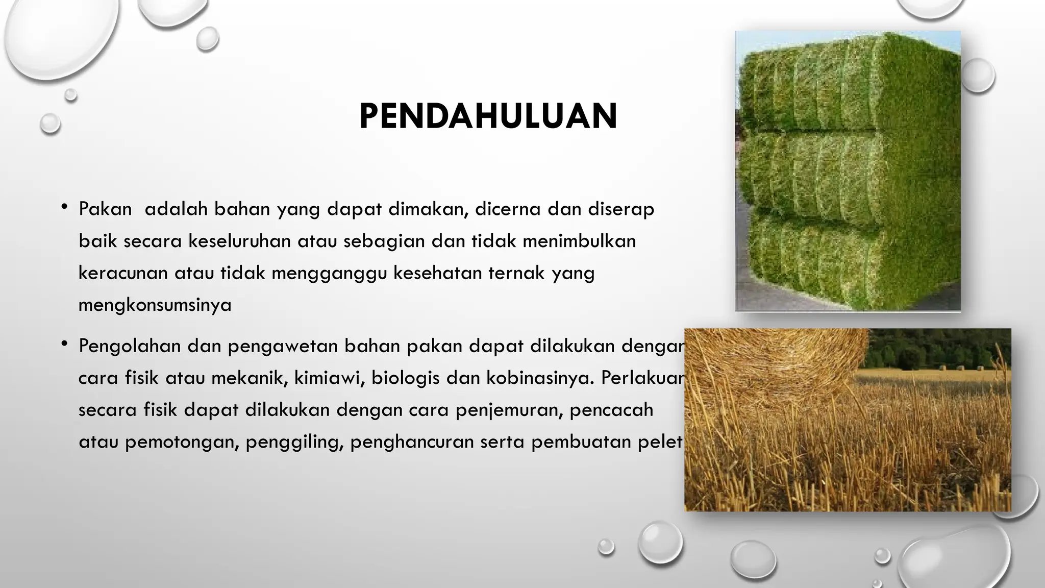 teknologi_pengolahan_dan_pengeringan_hij.pptx