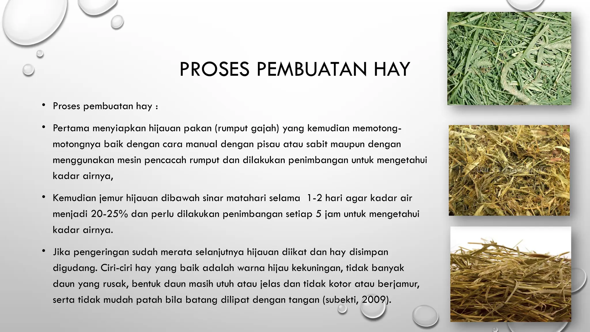 teknologi_pengolahan_dan_pengeringan_hij.pptx