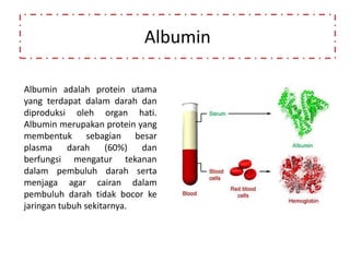 Teknologi Pengolahan Suplemen Pangan Berbasis Albumin.pptx
