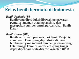 Teknologi Produksi Benih tanaman pangan.pdf