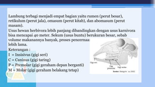 Teknologi sistem pencernaan makanan & system pencernaan makanan | PPTX