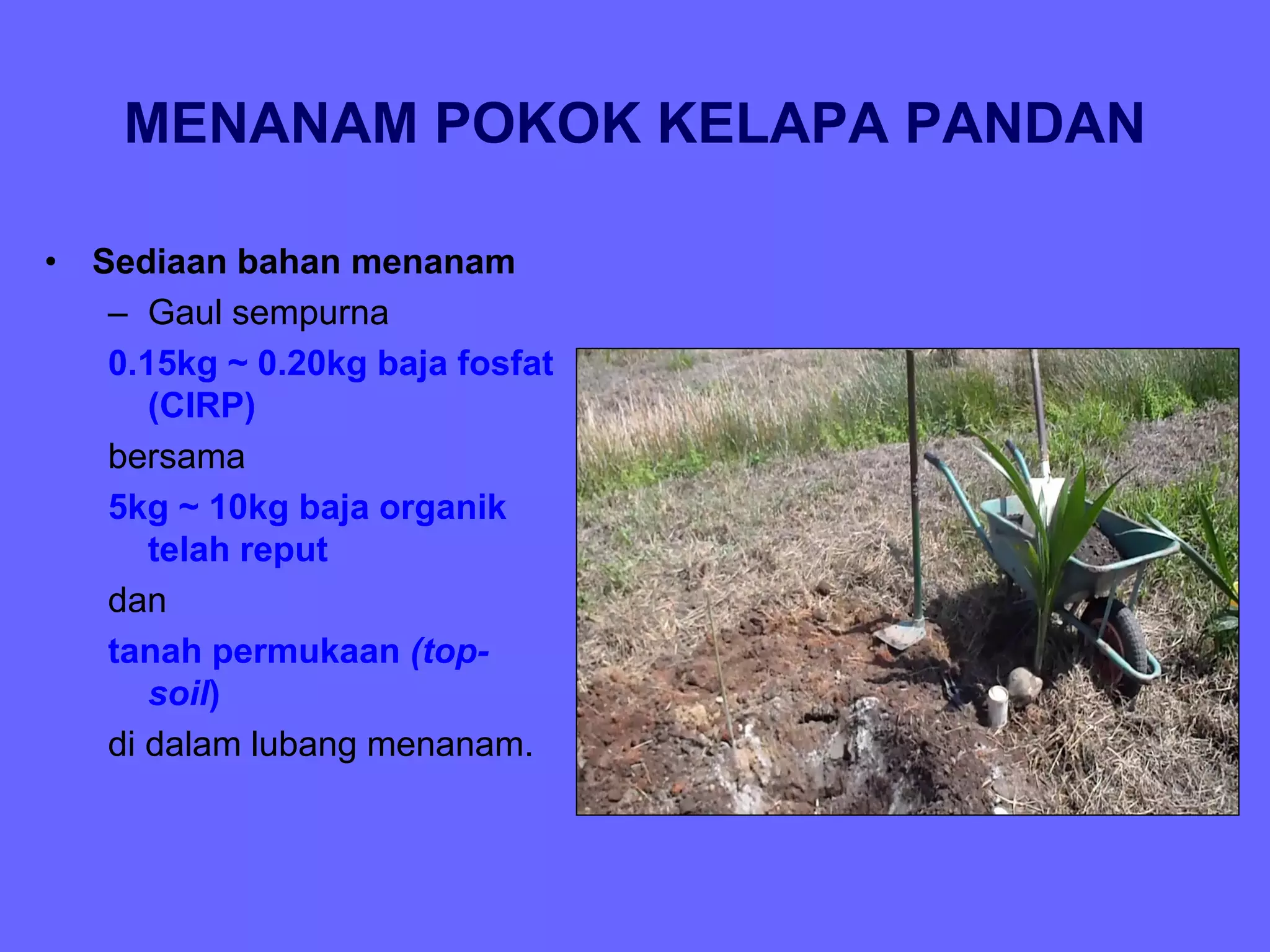 TEKNOLOGI TANAMAN KELAPA PANDAN | PDF