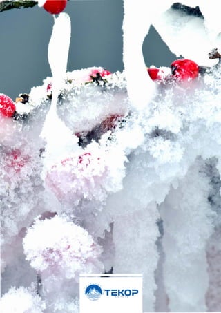 Tekop Cold Room Catalogue | PDF