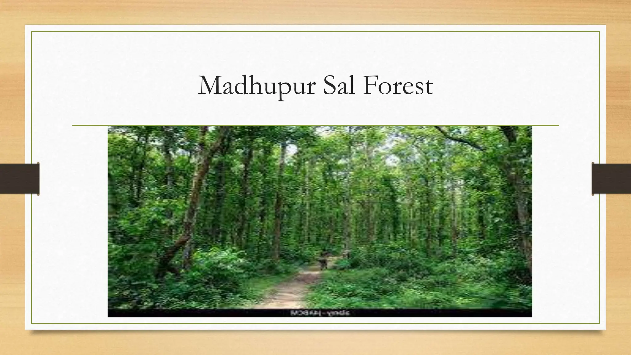 TEK Presentation.pptx