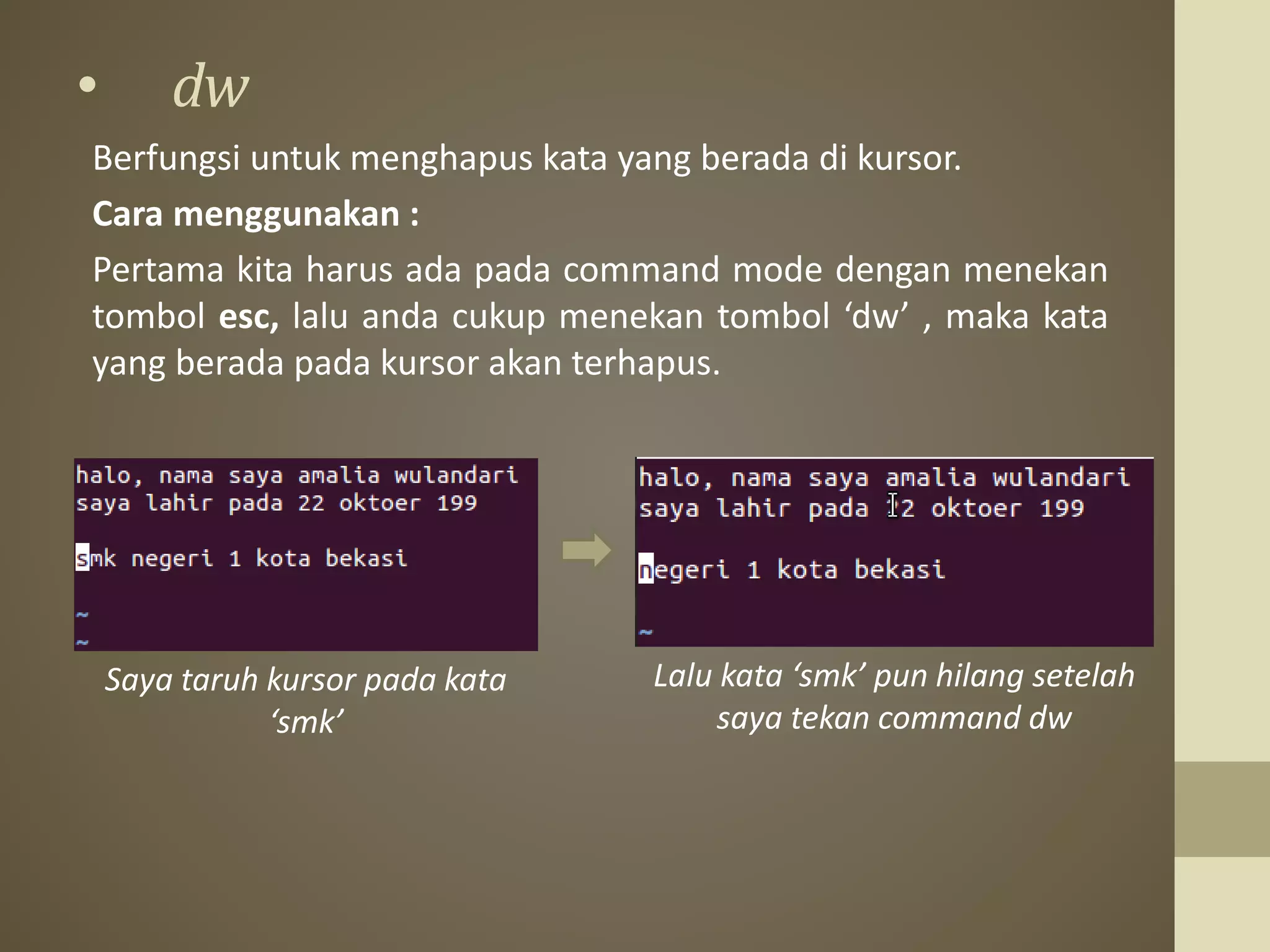 Teks Editor Vim | PPTX