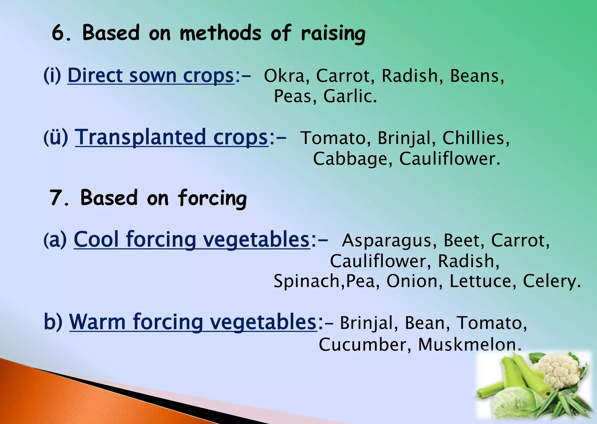 teksingh PPT classess .of vegetable | PPTX