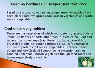 teksingh PPT classess .of vegetable | PPTX