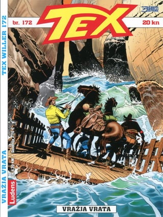 Teks Viler L 172 - Vrazja vrata | PDF