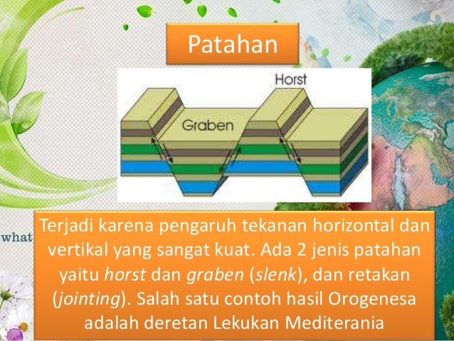 Proses Tektonisme Dan Pengaruhnya Terhadap Kehidupan - Easy Study