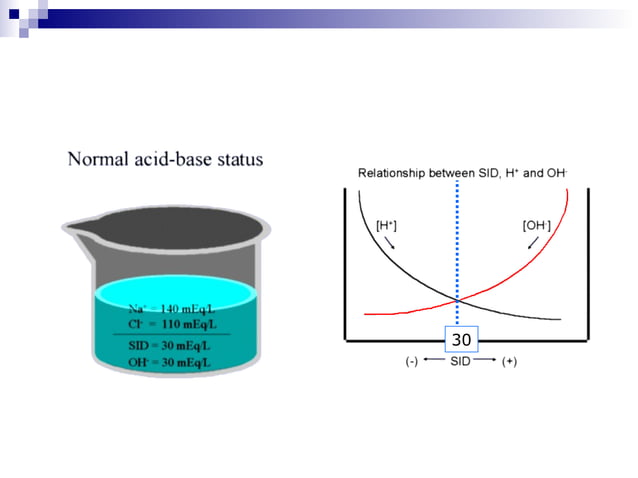 Gangguan Asam Basa | PPT