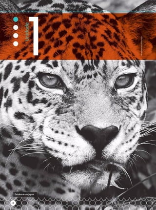 TELARIS-6ano.pdf