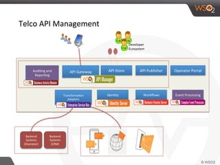 APIs - The Foundation of the Future Telco | PDF