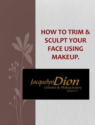 Teleconf highlight & contour | PDF