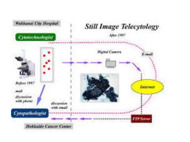 Telepathology | PPTX | Web Conferencing | Computer Software and ...