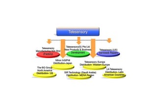 Telesensory Organzation Chart | PPT