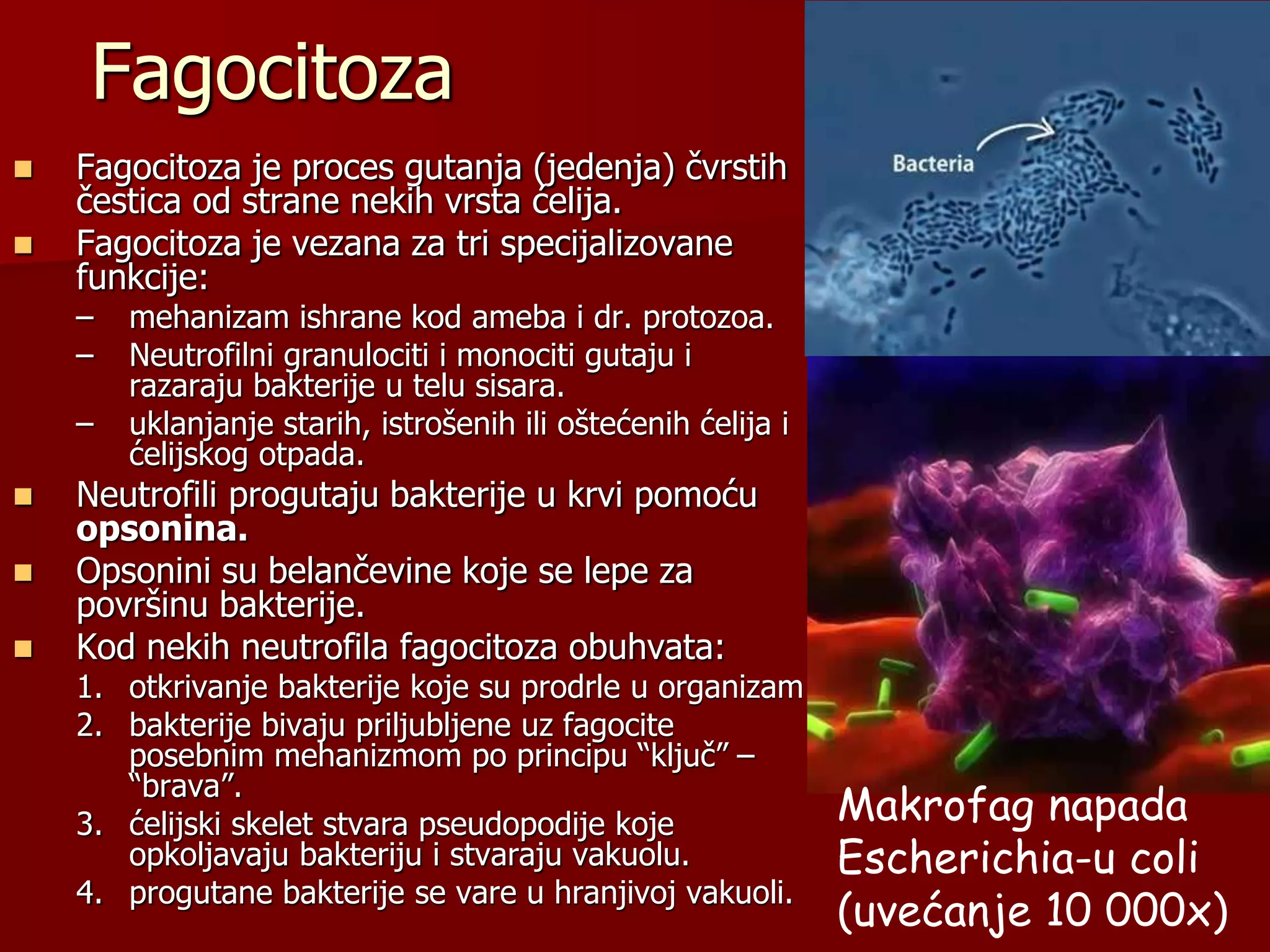 Telesne tečnosti-uloge PREZENTACIJA.ppt