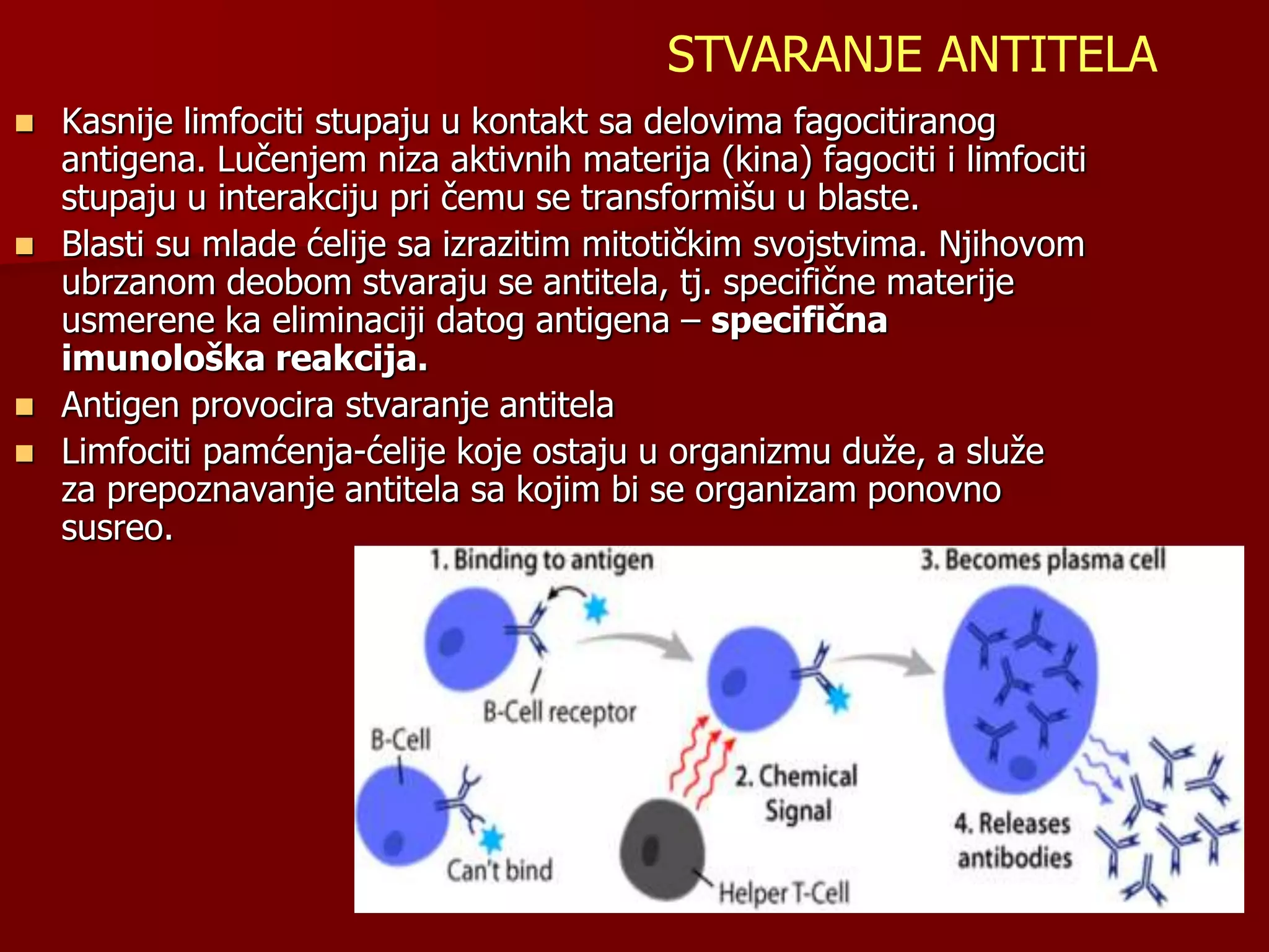 Telesne tečnosti-uloge PREZENTACIJA.ppt