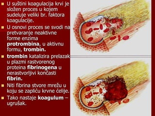 Telesne tečnosti-uloge PREZENTACIJA.ppt