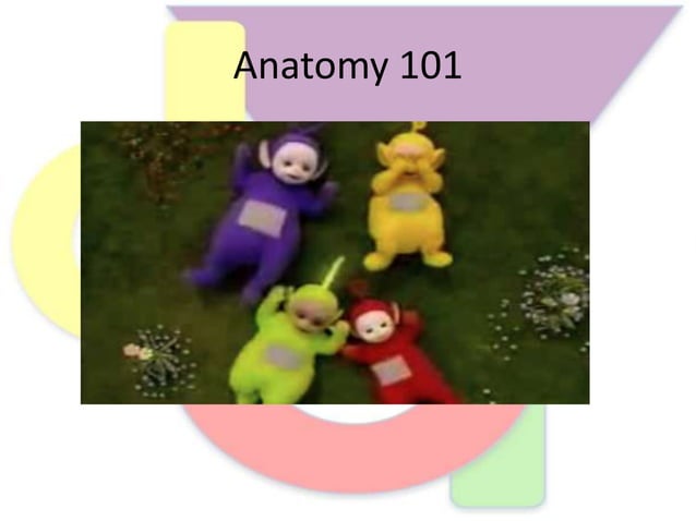 representation of gender in the teletubbies | PPT