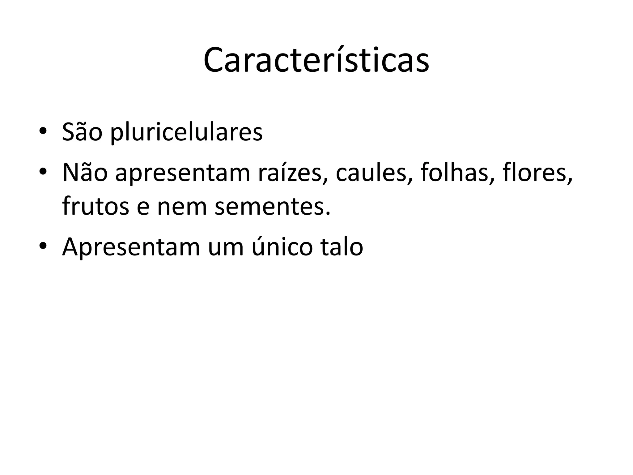 Talófitas - Reino vegetal | PPTX