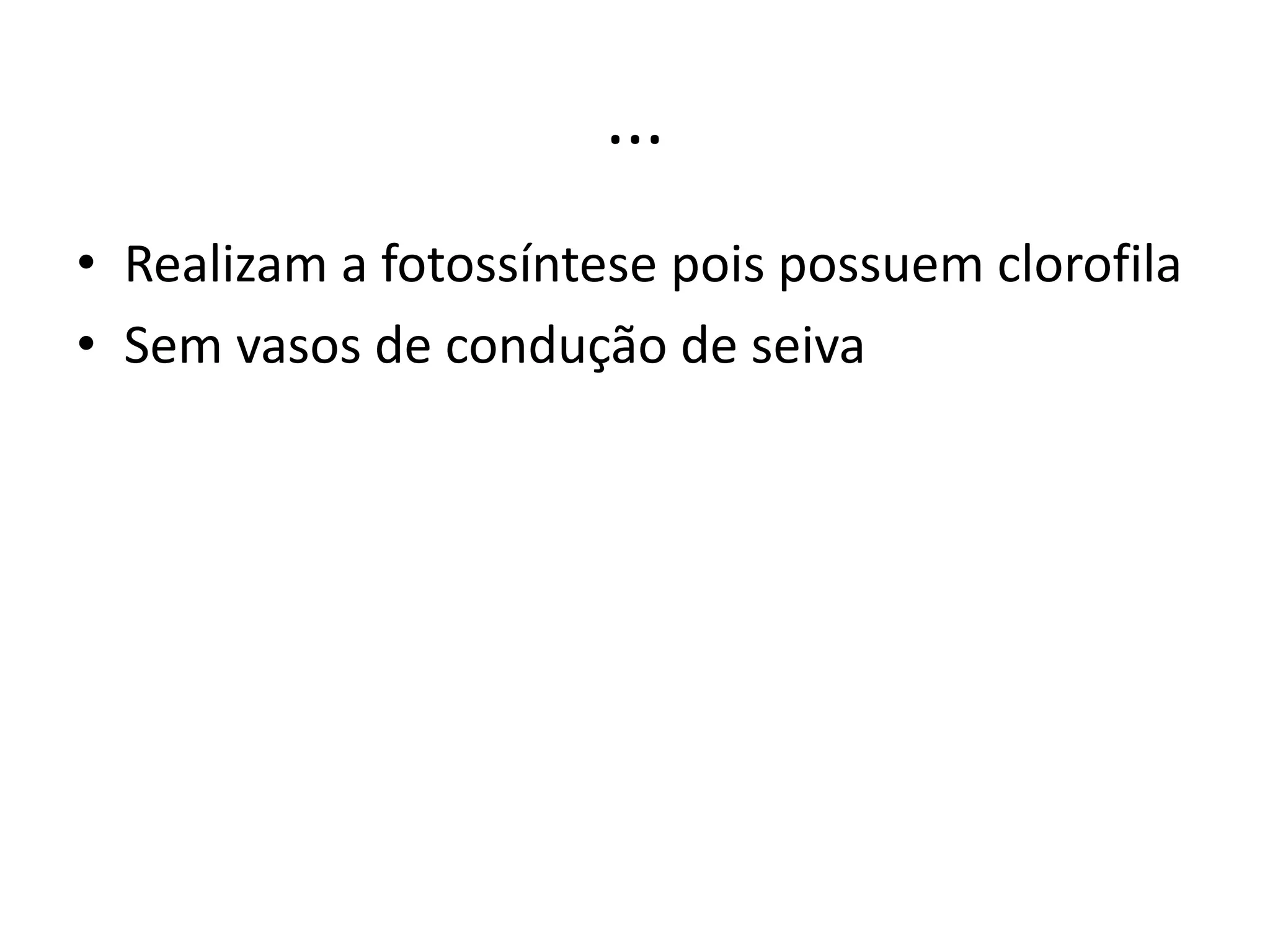Talófitas - Reino vegetal | PPTX