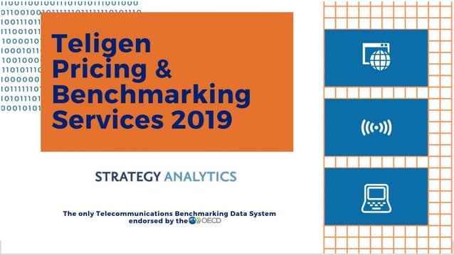Teligen Services 2019 presentation | PPTX
