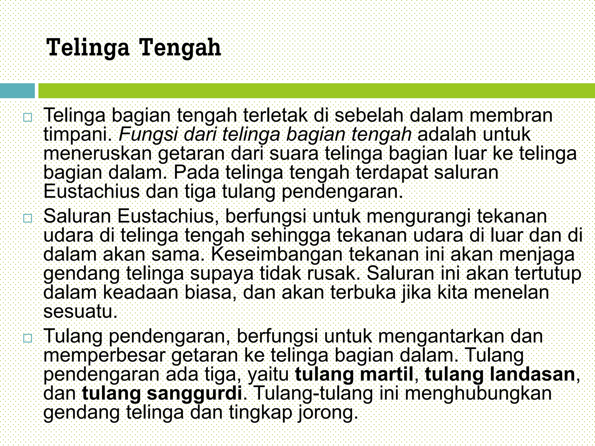 Indra Pendengaran | PPTX