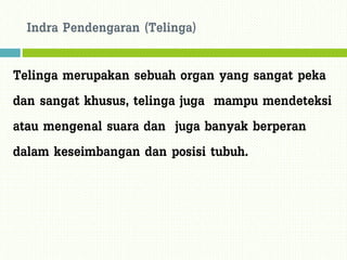 Indra Pendengaran | PPTX