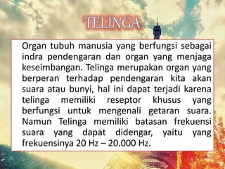 Powerpoint Organ Telinga Kelas 8 Semester 2 | PPTX