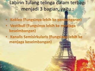 Powerpoint Organ Telinga Kelas 8 Semester 2 | PPTX