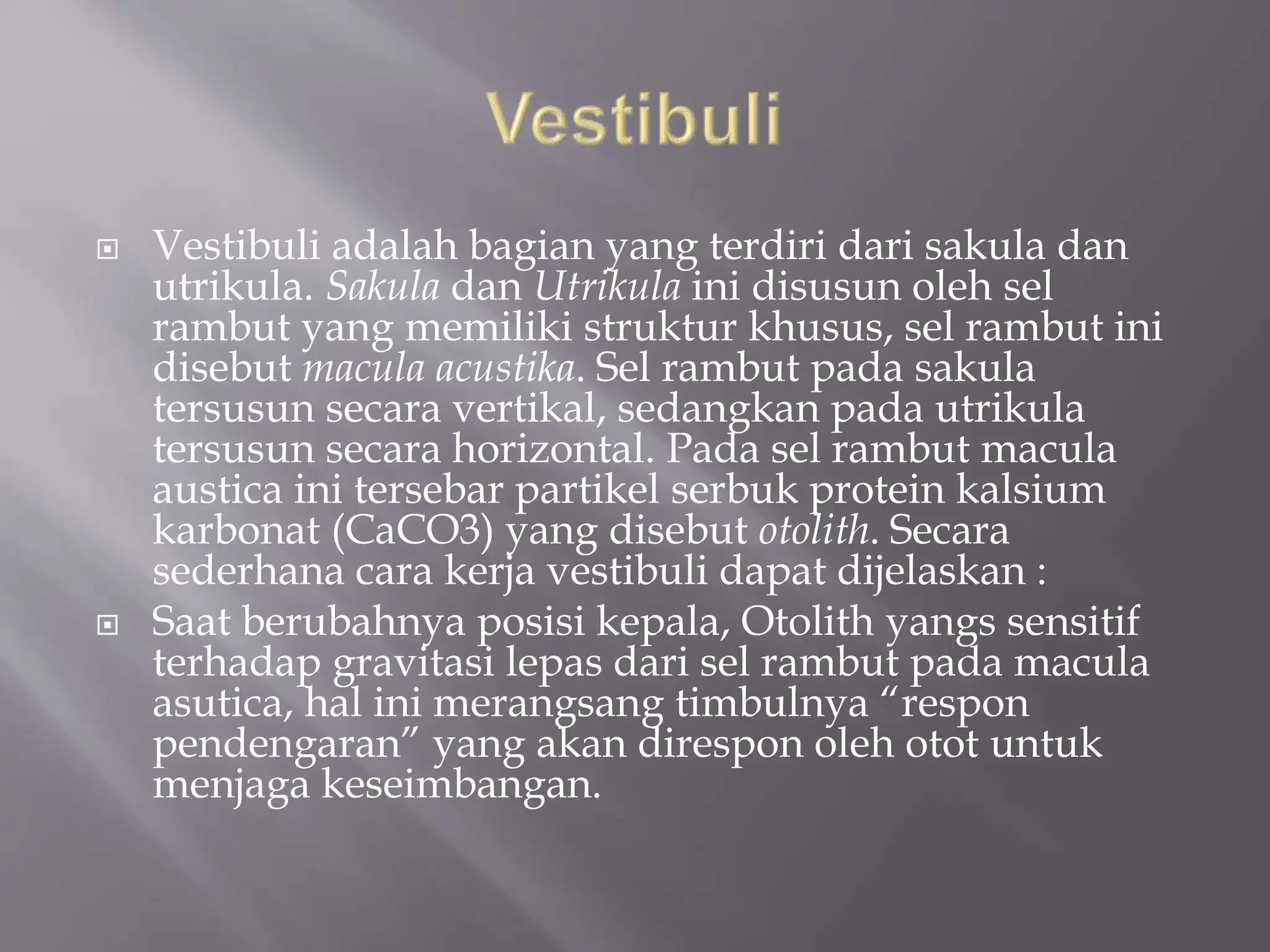 Alat Indra Telinga dan Bagian-bagiannya. | PPTX