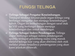 Alat Indra Telinga dan Bagian-bagiannya. | PPTX
