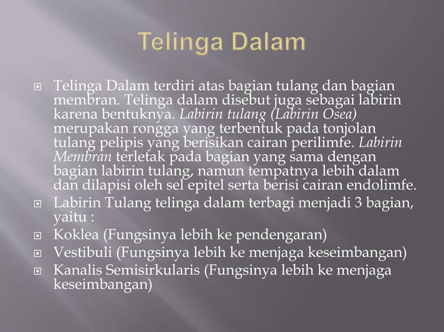 Alat Indra Telinga dan Bagian-bagiannya. | PPTX