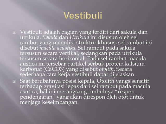 Alat Indra Telinga dan Bagian-bagiannya. | PPTX