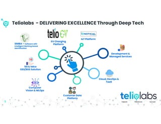 TeliolabsEV offering.pdf | Computer Software and Applications | Computing