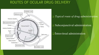 Telithromycin ocular ointment | PPT