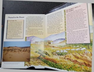 Tell me about the prophet muhammad (saw) by saniyasnain khan | PDF