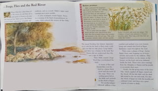 Tell me about the prophet musa by saniyasnain khan | PDF