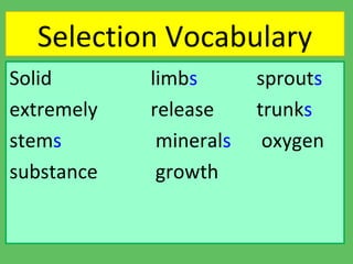 Tell me tree vocab | PPT