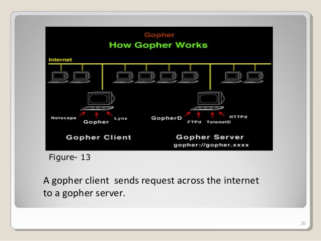 Computer Network Telnet And Gopher