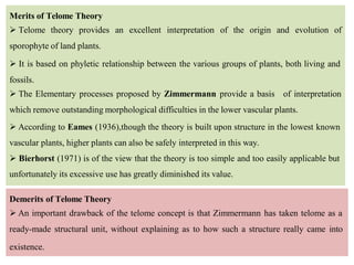 Telome Concept in the Plants Anatomy.pdf