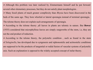 Telome Concept in the Plants Anatomy.pdf