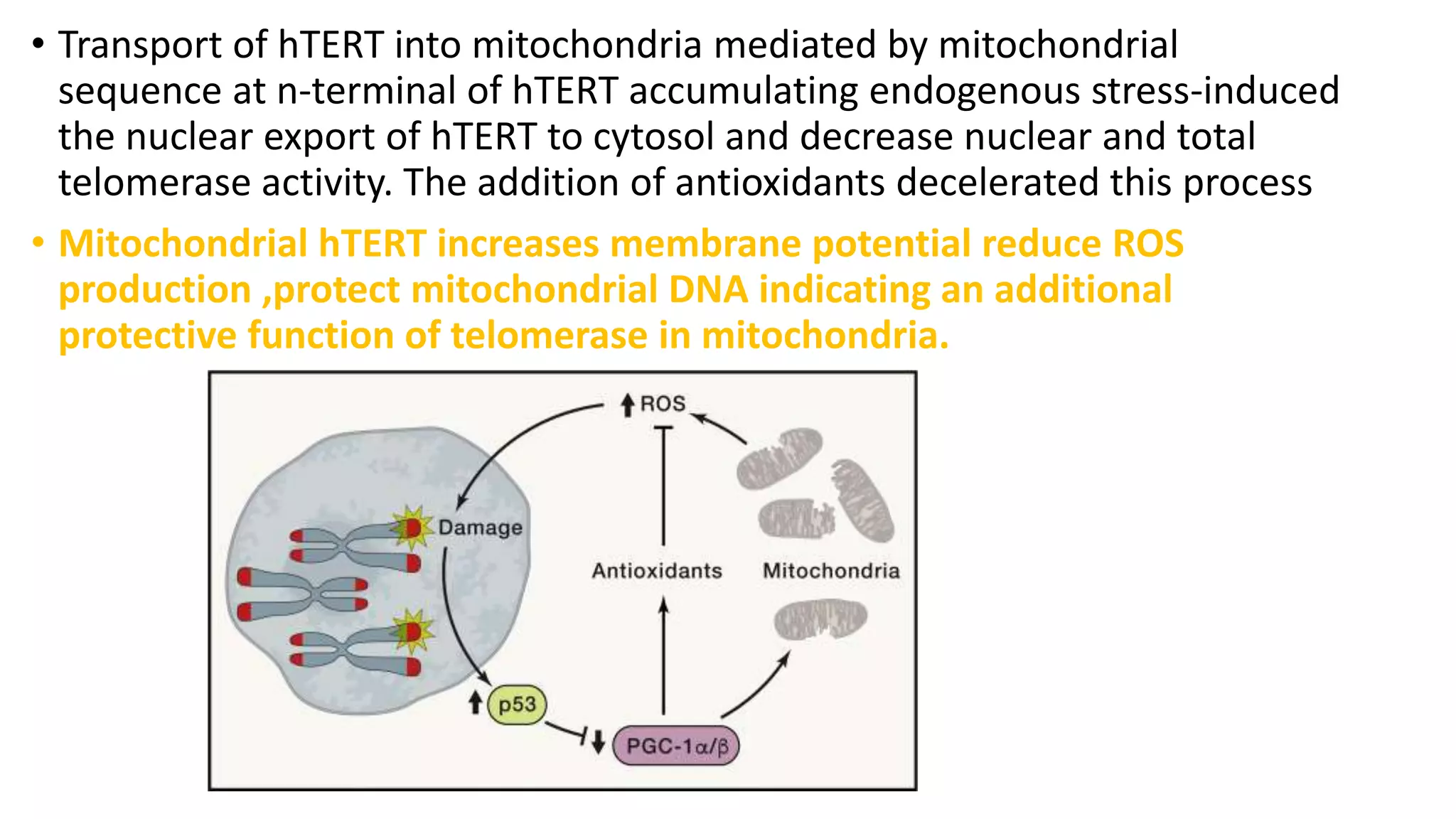 telomerase and function.pptx